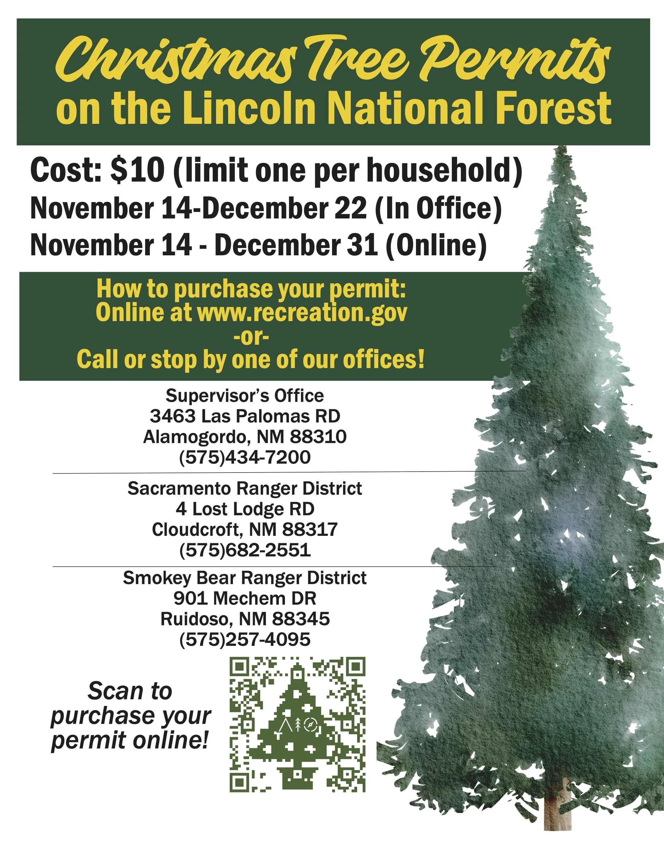 Lincoln National Forest Christmas Tree Permit — Ruidoso-NM.gov ...