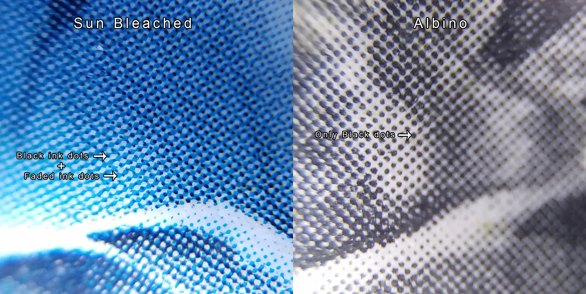 Beginners Guide to Misprints — MISPRINTEDMTG.COM