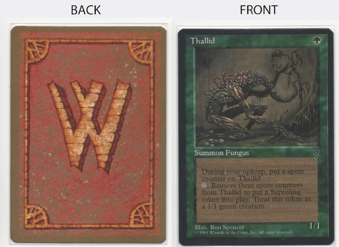 Beginners Guide to Misprints — MISPRINTEDMTG.COM