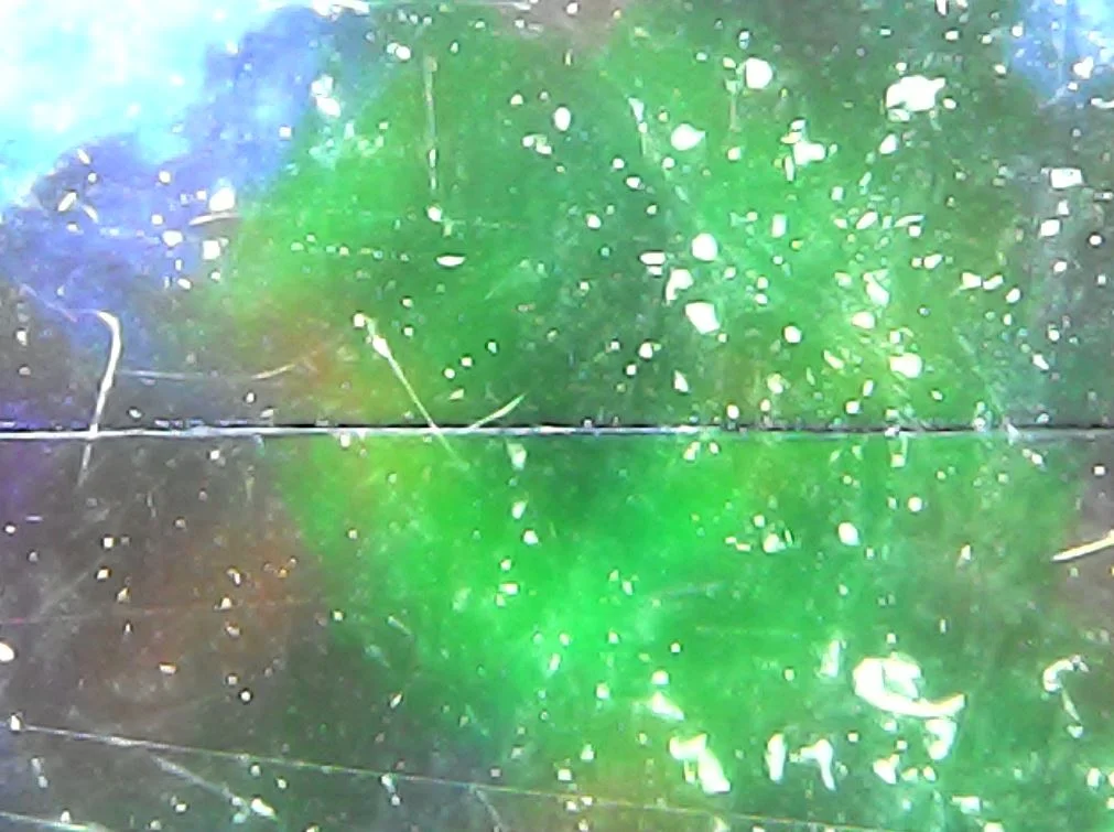 Beginners Guide to Misprints — MISPRINTEDMTG.COM