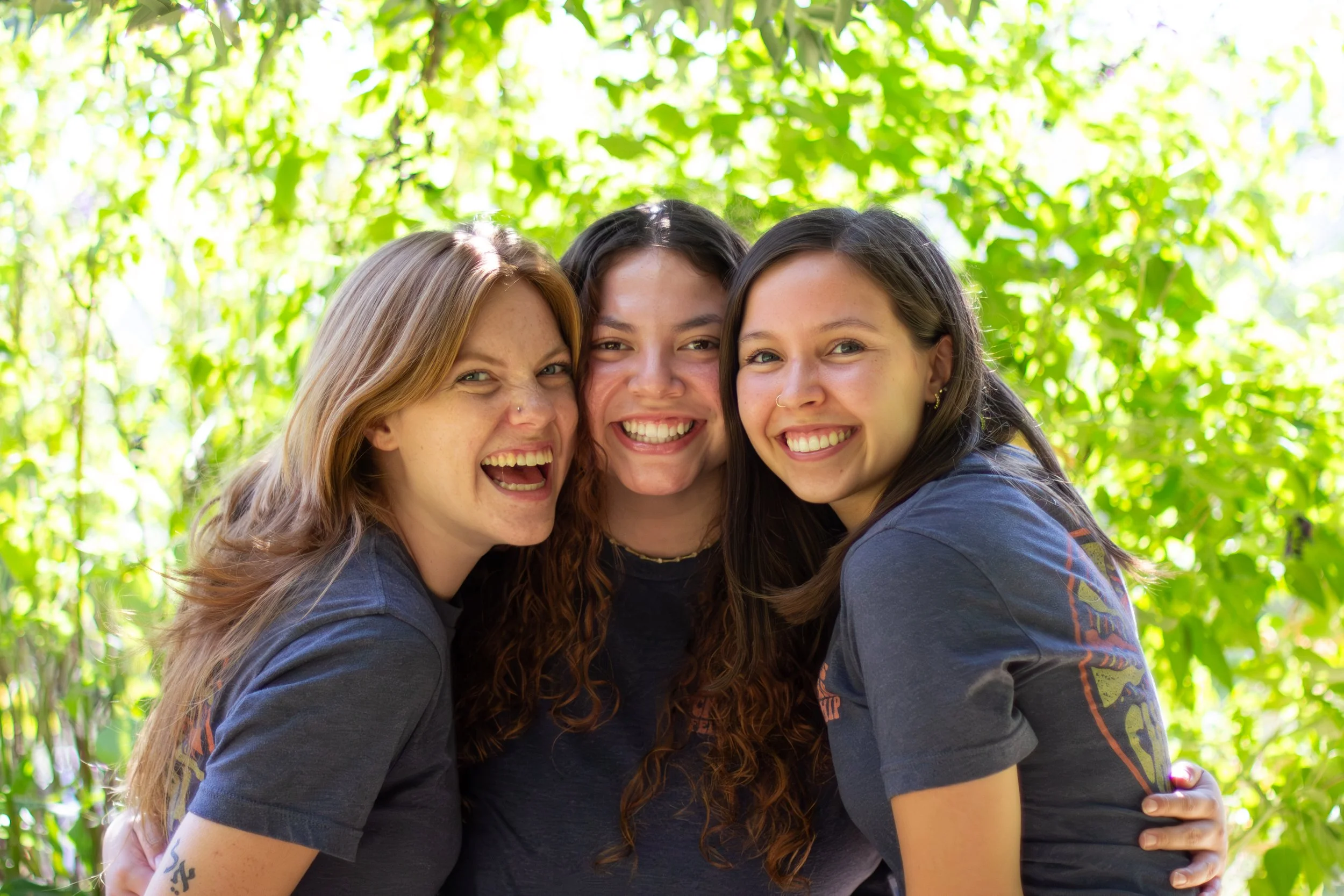 Core Groups — Davis Christian Fellowship