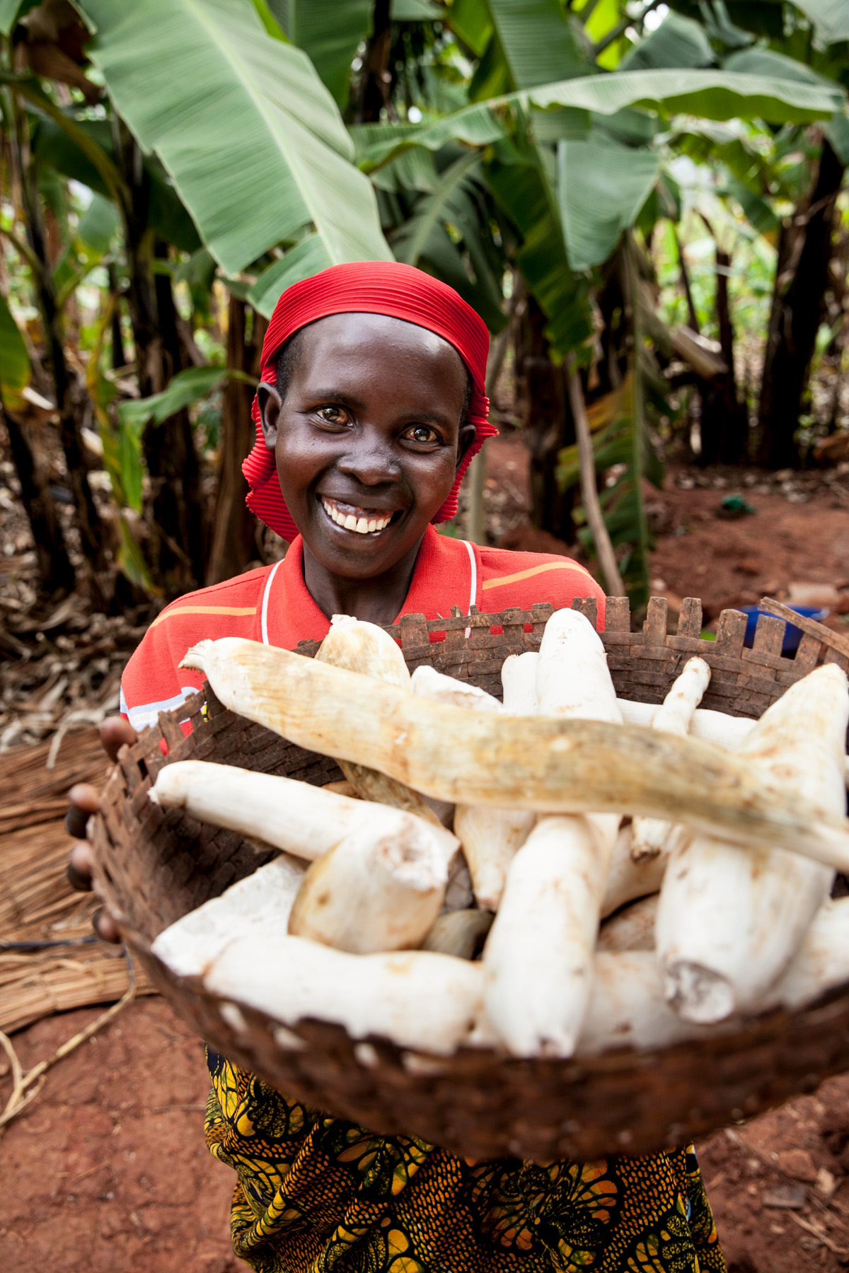 Five Talents — Ross Oscar Knight