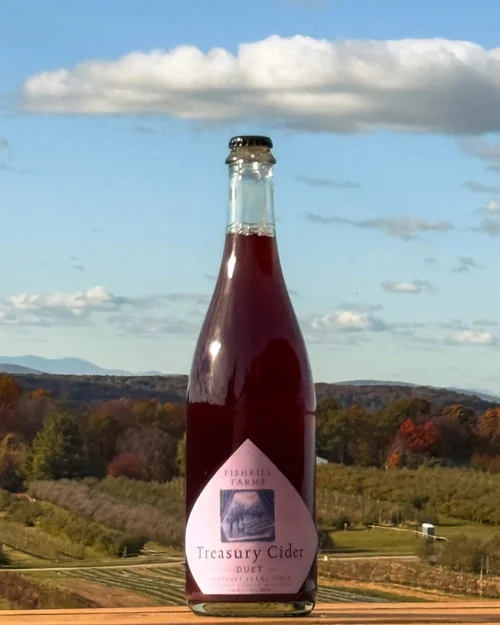 Our Cider — Treasury Cider