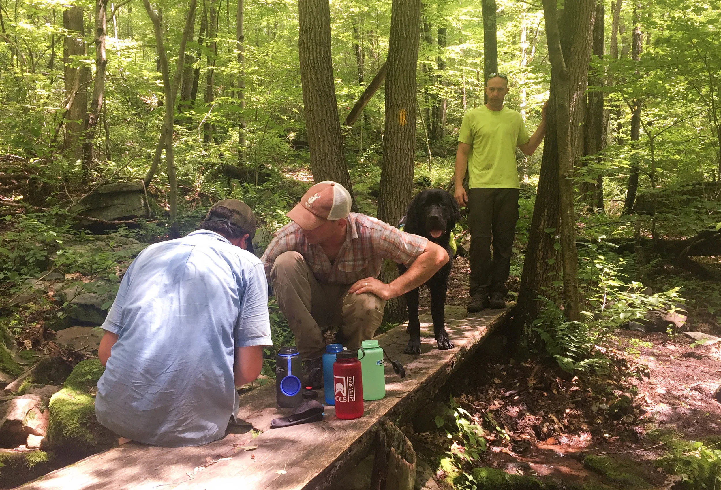Experiences While Thru-hiking the Laurel Highlands Hiking Trail - Part ...
