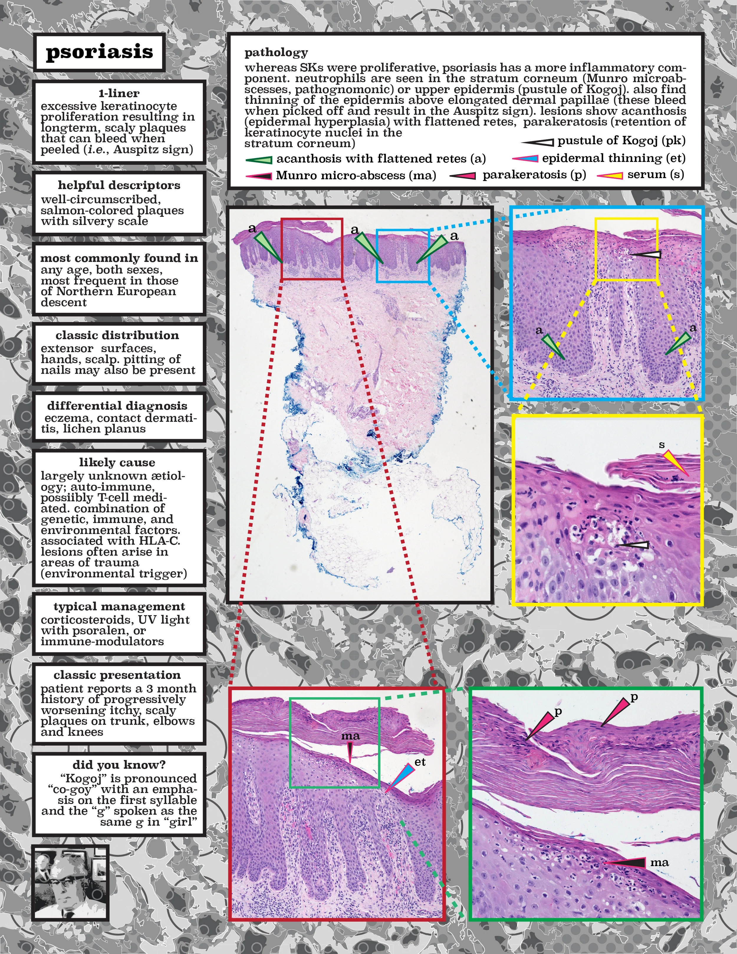 dermpath intro