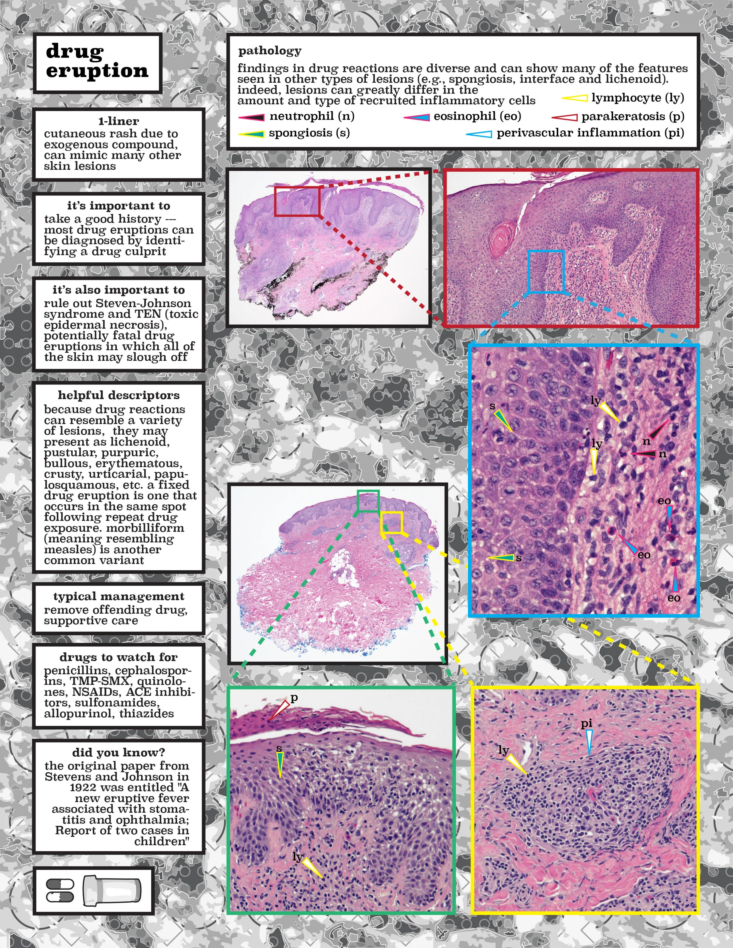 dermpath intro