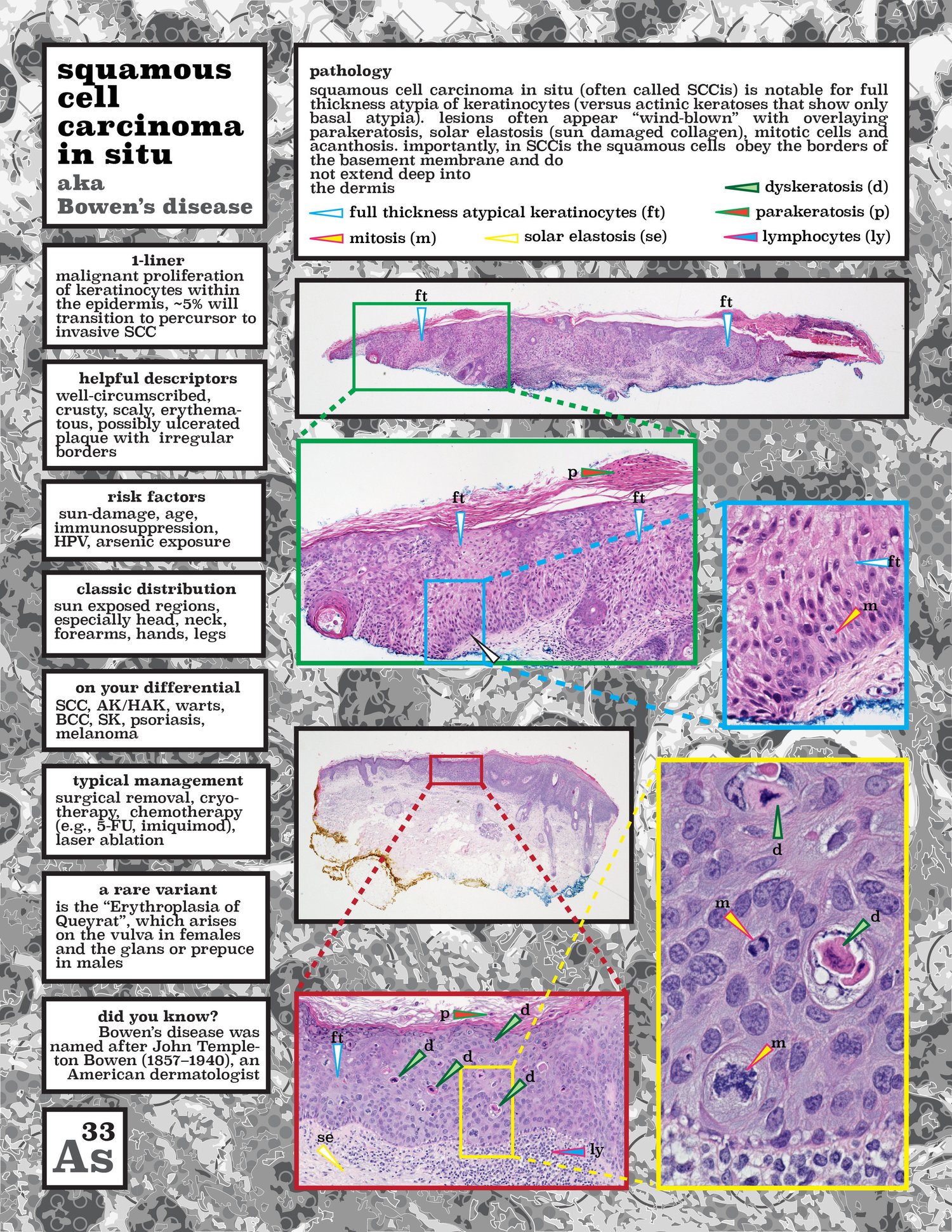 dermpath intro
