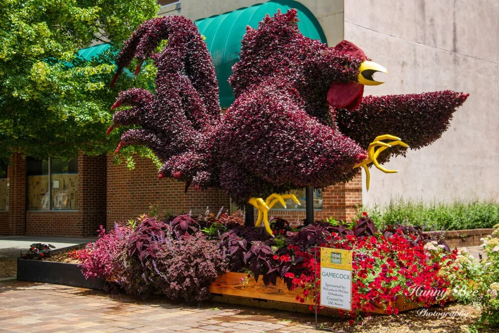 Topiary Displays at South Carolina Festival of Flowers | Garden Lovers Welcome — South Carolina ...