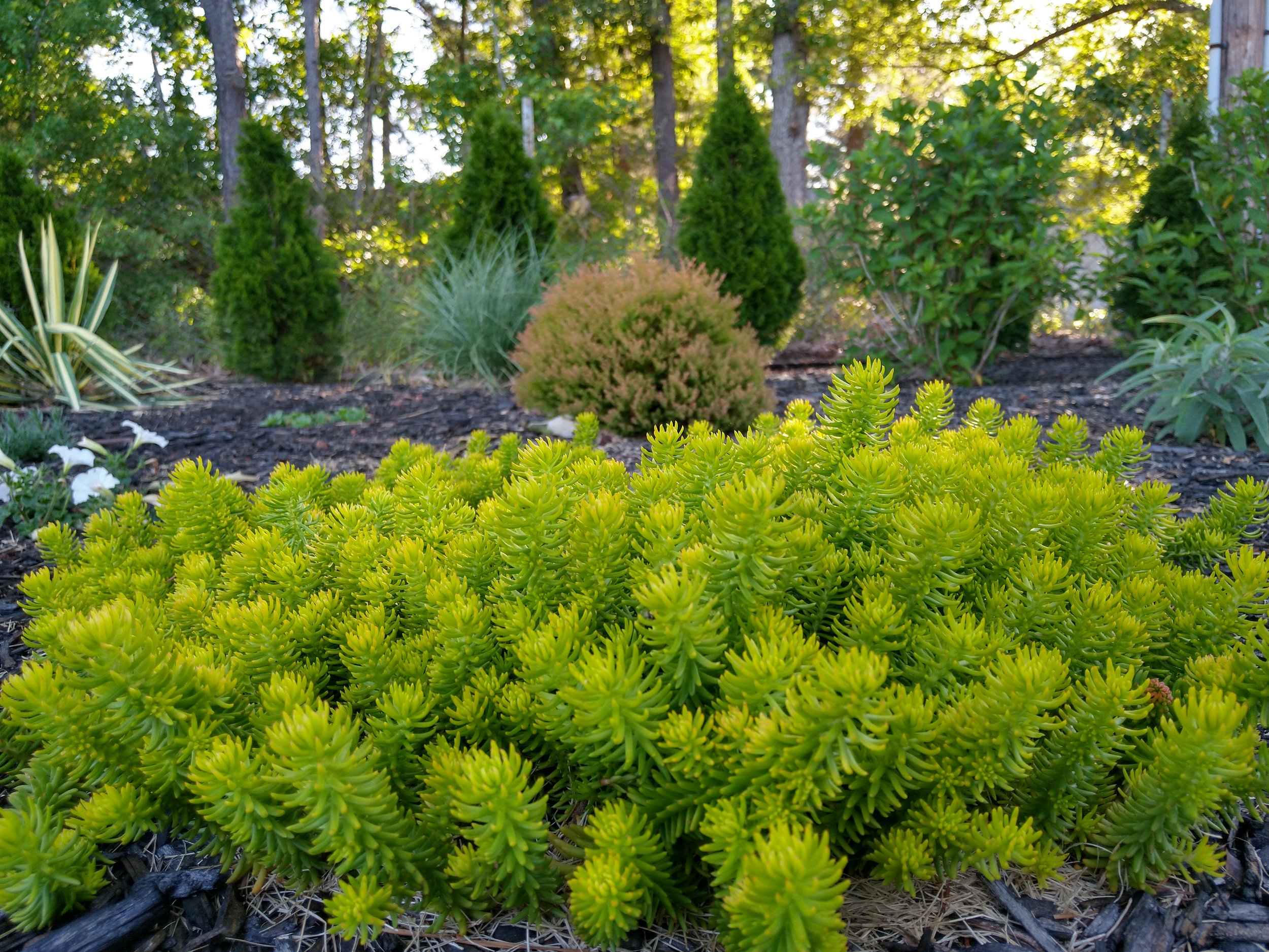 Garden Tours — South Carolina Festival of Flowers