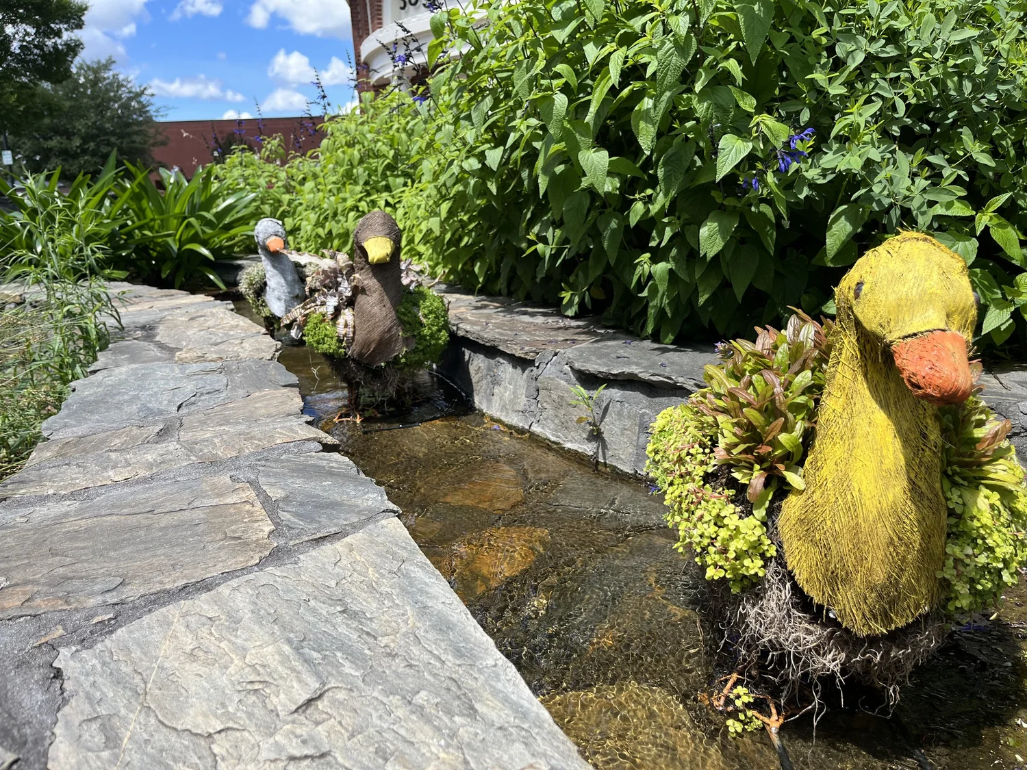 Festival Guide 2024 — South Carolina Festival of Flowers