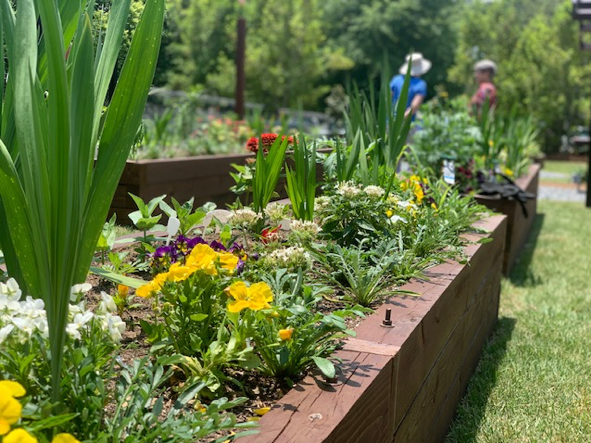 Garden Tours — South Carolina Festival of Flowers