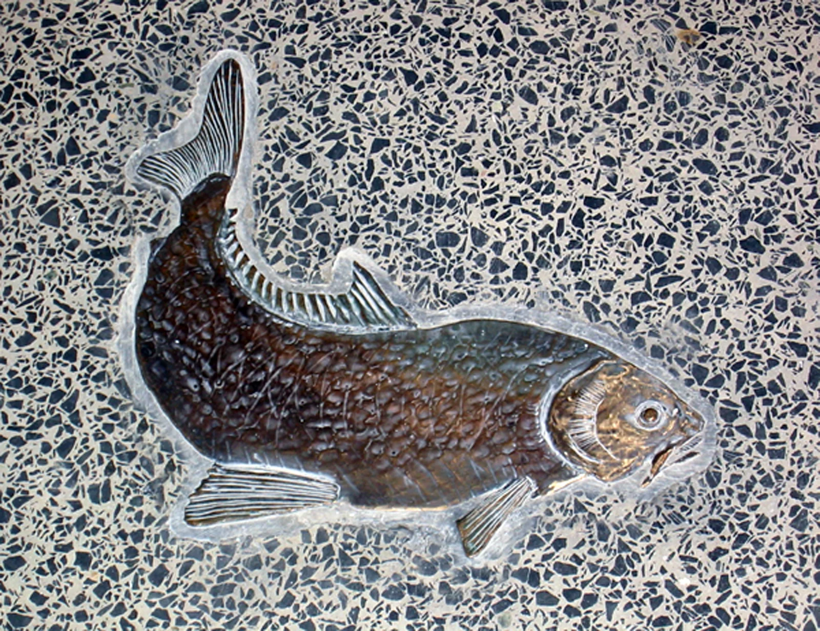 Houston Bayou — Dixie Friend Gay