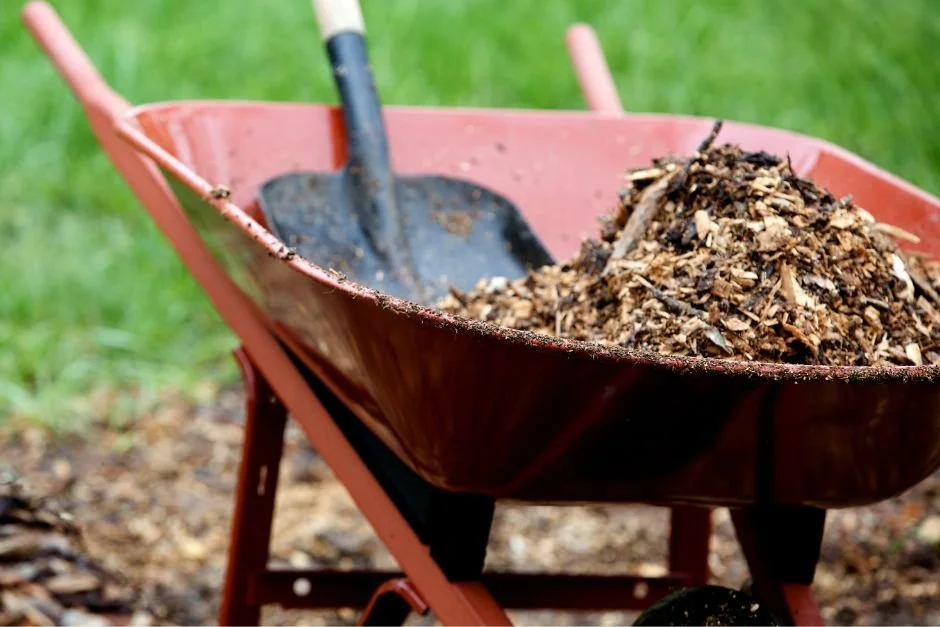 Pre-Spring Landscaping Tips — Capitol Wholesale Nursery