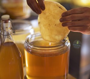 ScobyDO's and DON'Ts! — Kombucha Hunter
