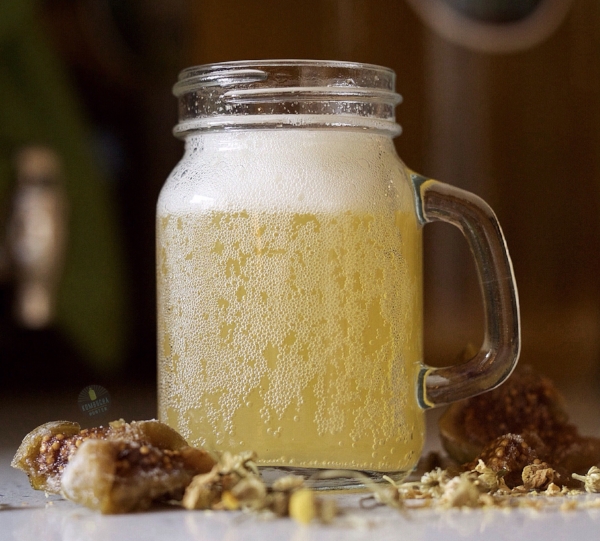 The Fizz Factor — Kombucha Hunter