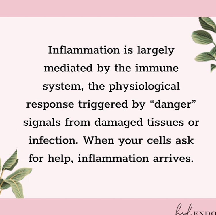 What causes endometriosis? Inflammation. So, what is inflammation ...