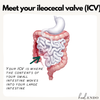 What is Endo Belly Series: Ileocecal valve pain — Heal Endo