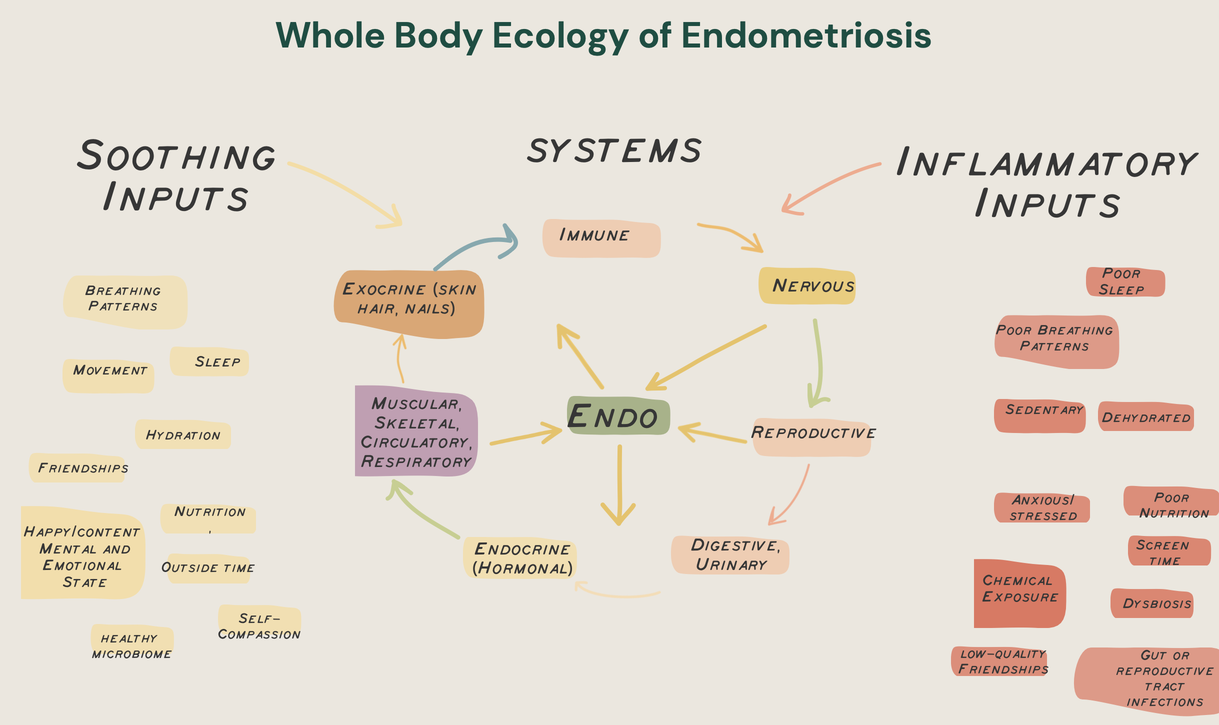 What is Endometriosis? It's a verb, not a noun — Heal Endo