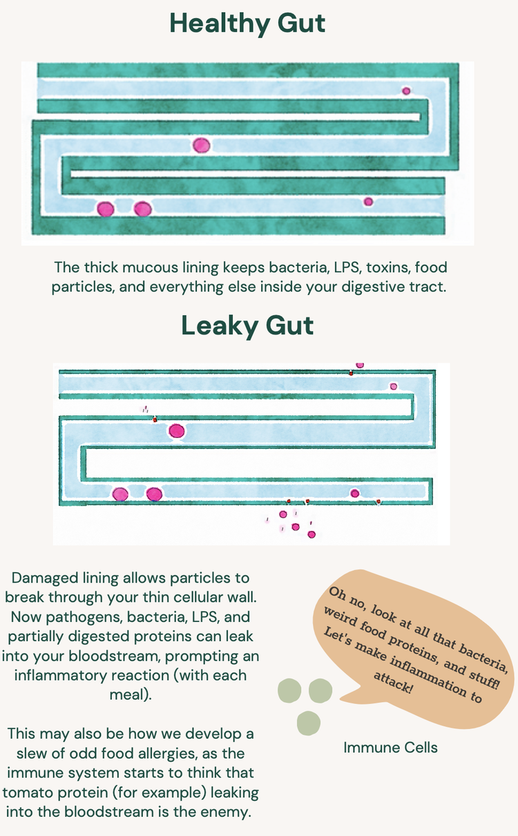 Endo Belly and Bloating: More Than Endometriosis Symptom Management ...