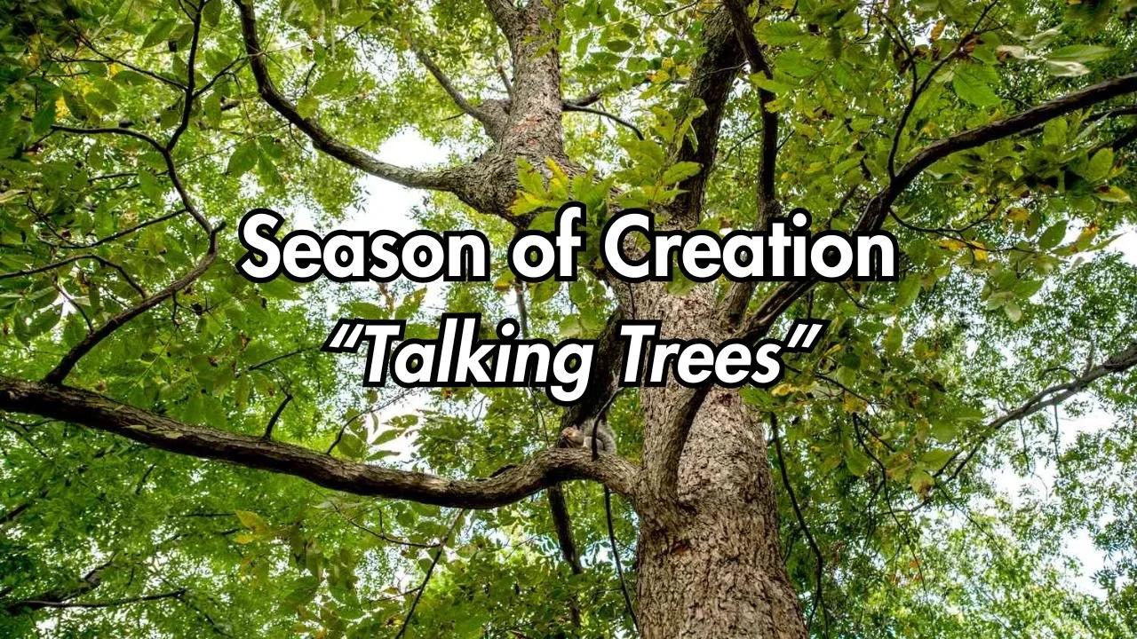In-Person/Live-Stream Worship: Season of Creation "Talking Trees ...