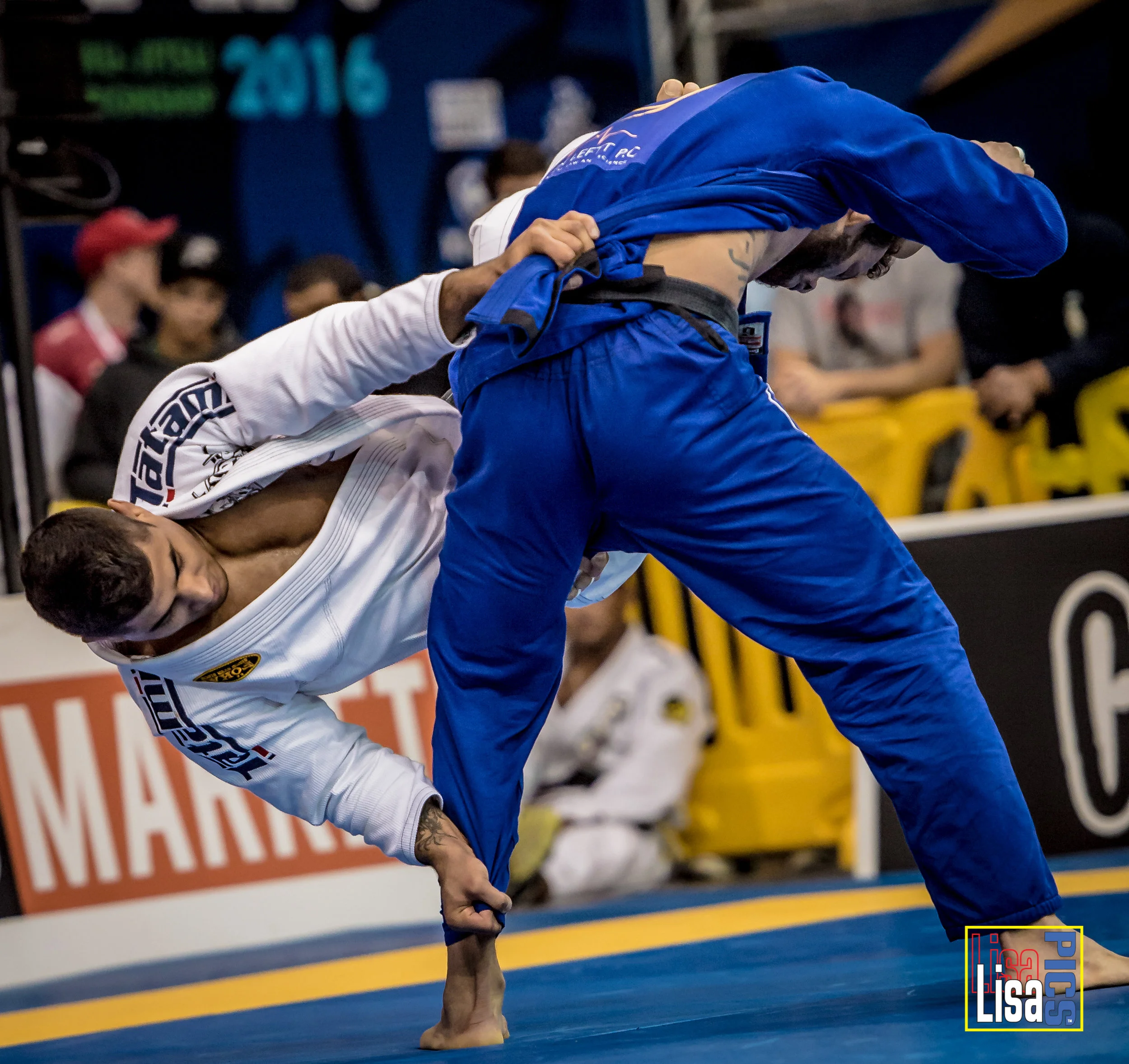 Ridiculously Photogenic Jiu Jitsu Guy Attacks The Camera