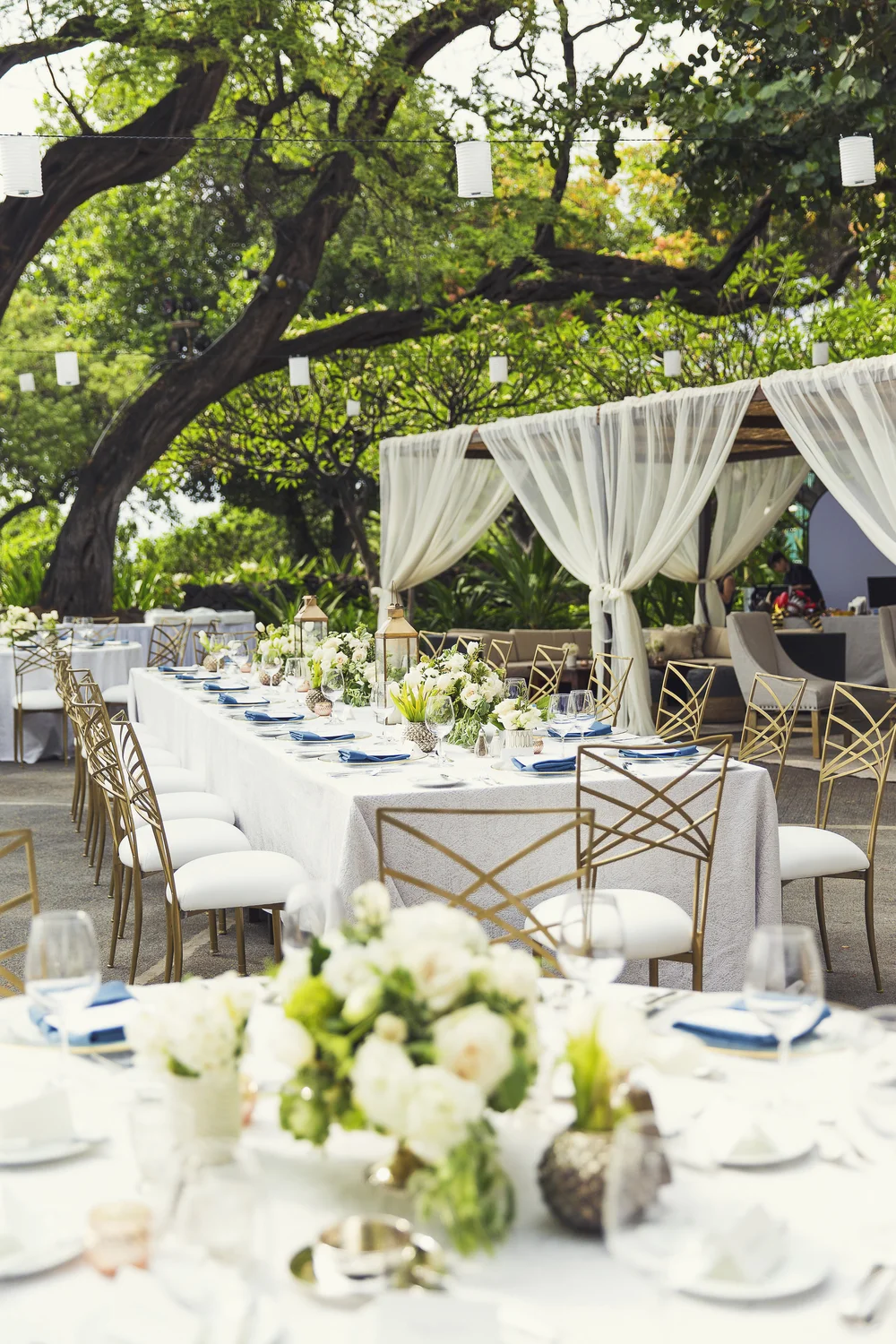 Gold Fanfare with White Leatherette Cushion — Big Island Tents