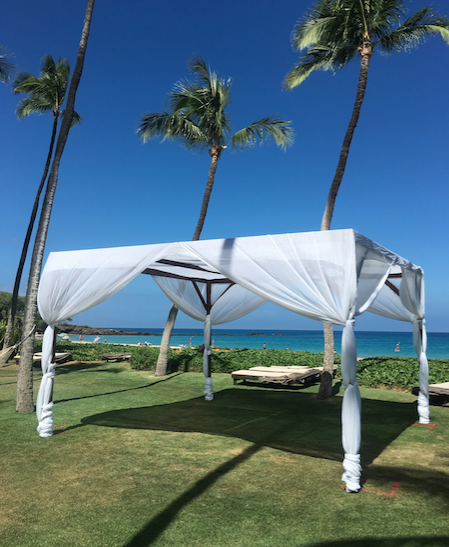 Dining Canopies — Big Island Tents