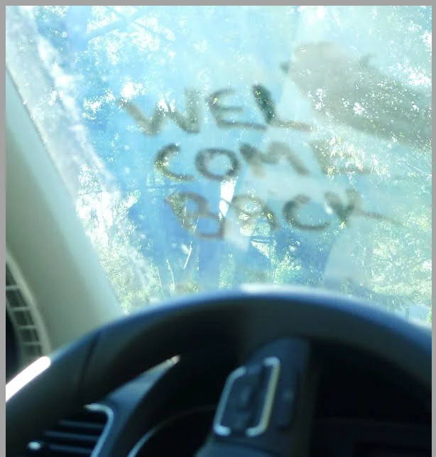 How To Properly Clean The Inside Of Your Windshield [...and why ...