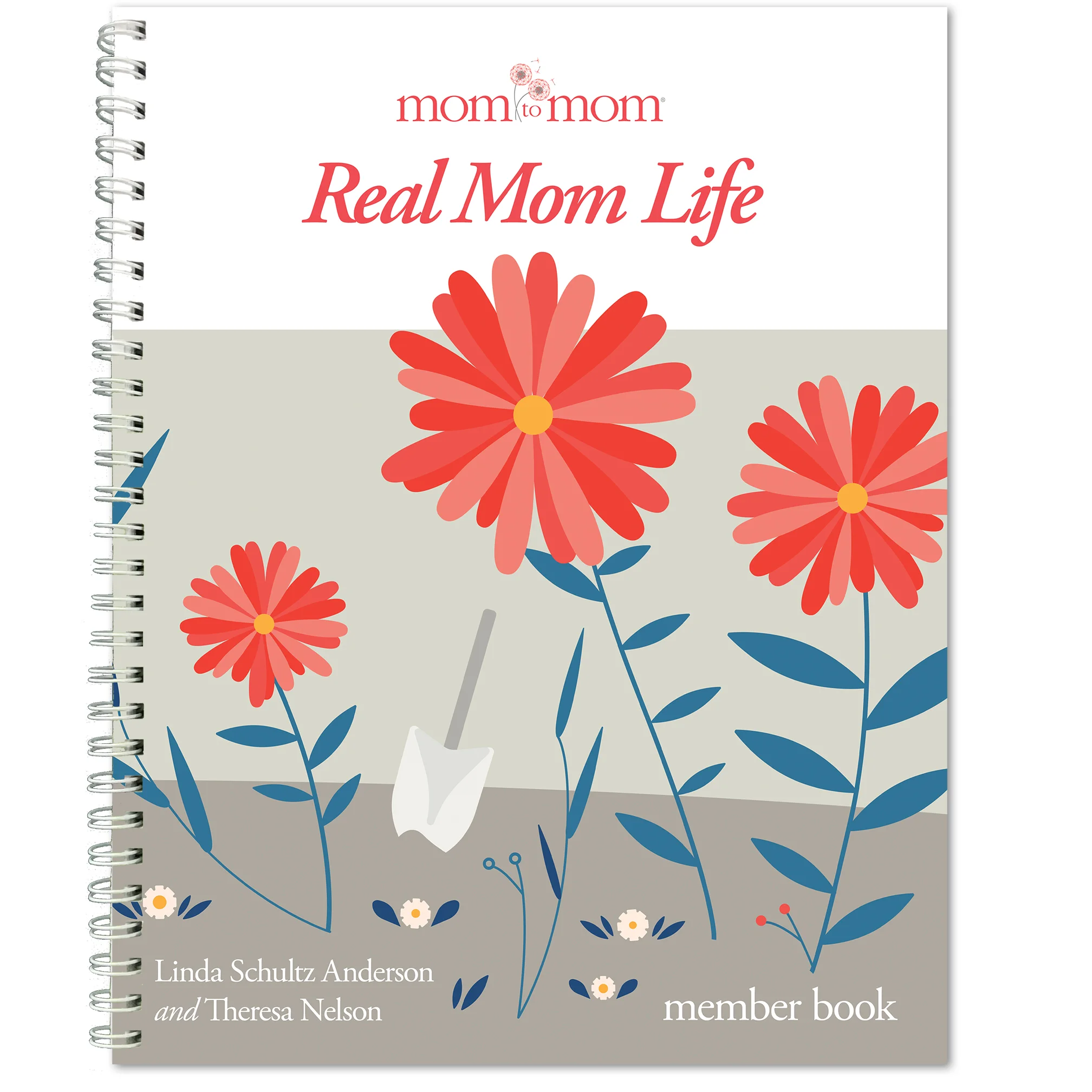 Real Mom Life — Mom to Mom Ministries