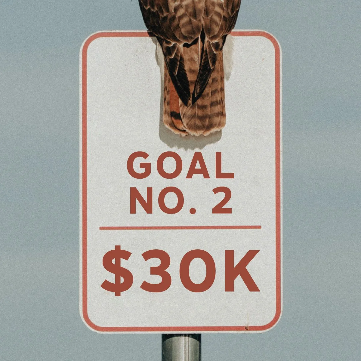 Joe Stamm Band - Why Do We Need to Crowd Fund Our New Album?