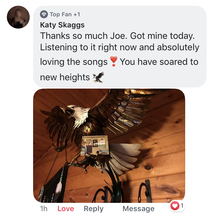 Bad Joke Eagle