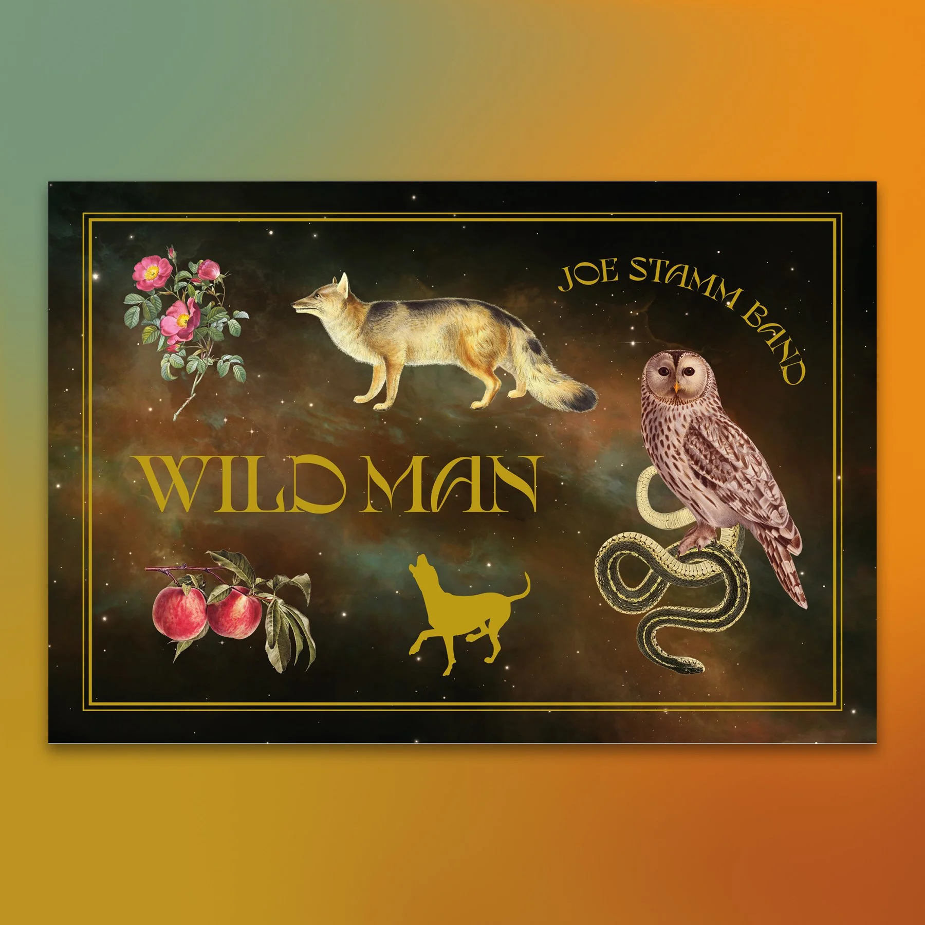 Joe Stamm Band - Merch Store