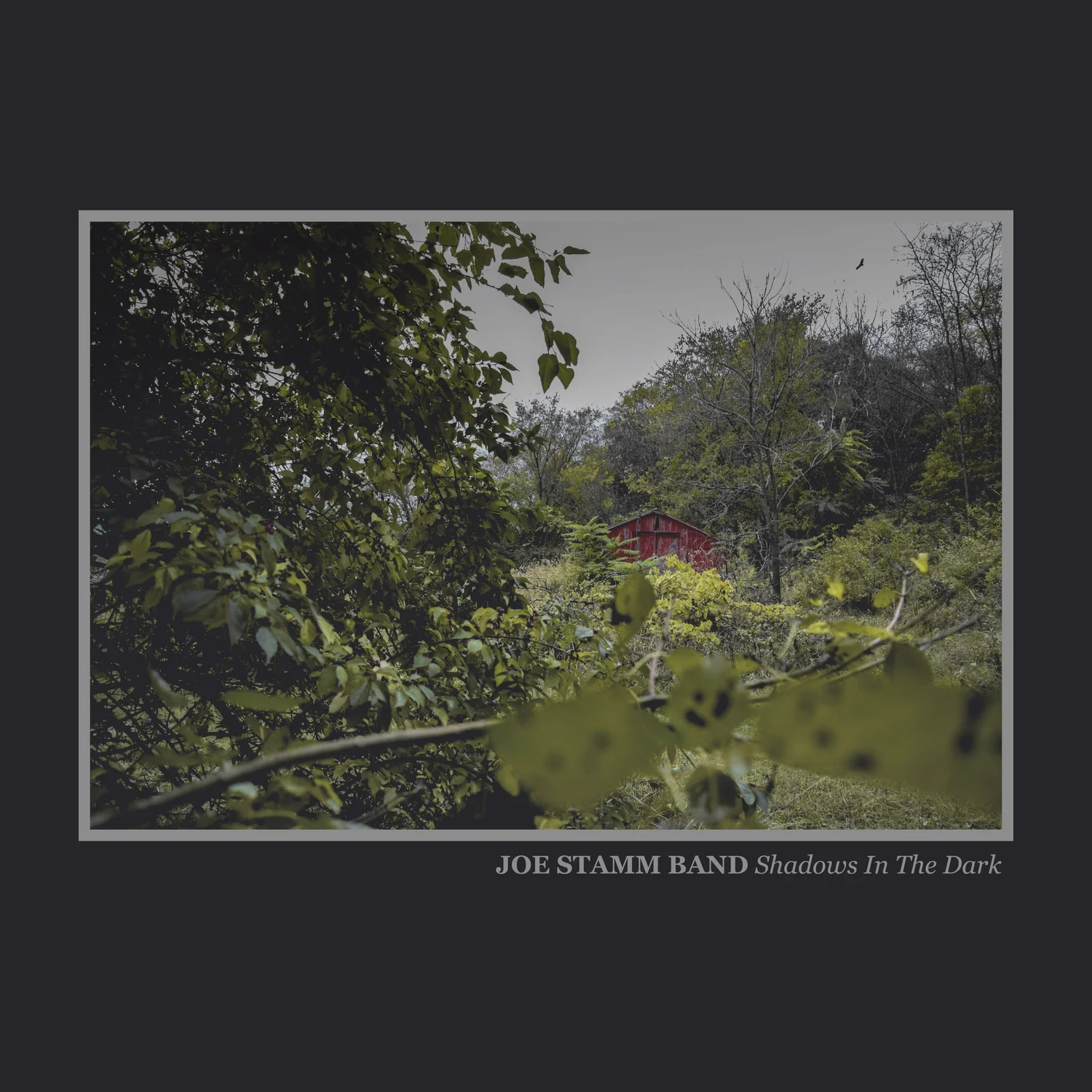 Joe Stamm Band - Music