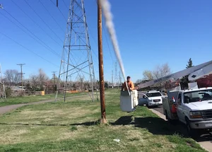What is an eruv? — East Denver Eruv