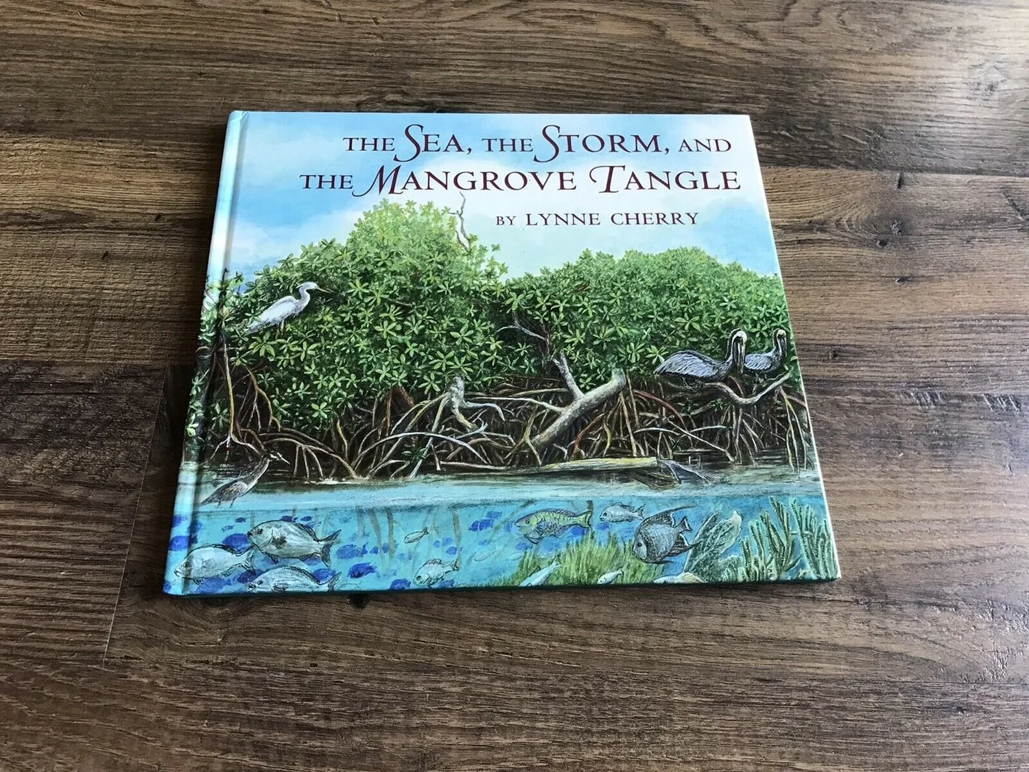 Dancing into the mangrove — The Family Dances