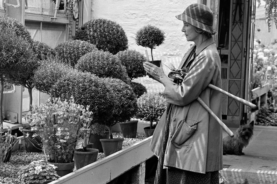 Oak Spring Garden Foundation