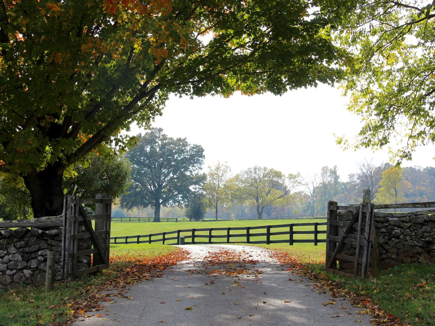 Oak Spring Garden Foundation - Autumn at Oak Spring