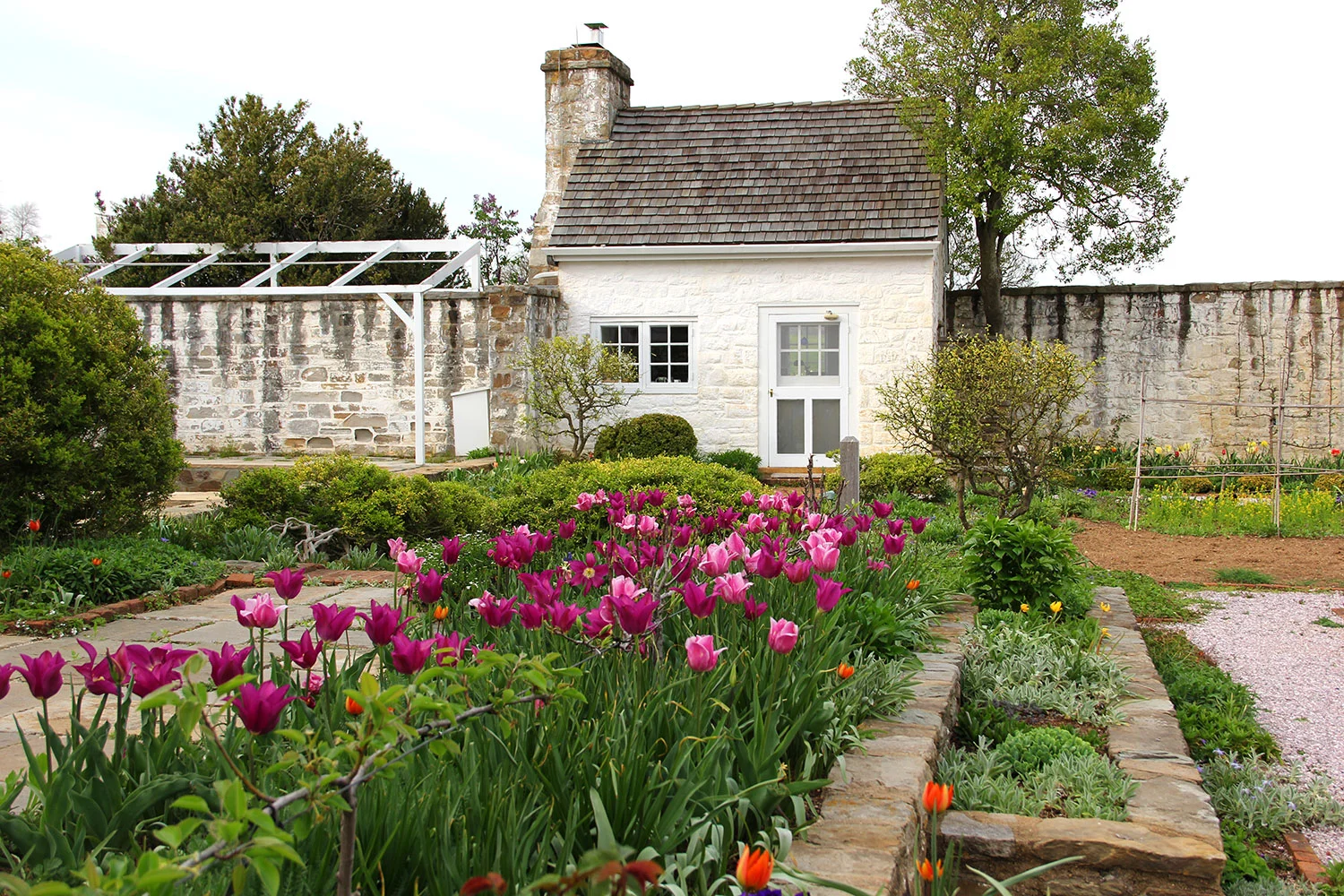 Oak Spring Garden Foundation - Spring at Oak Spring