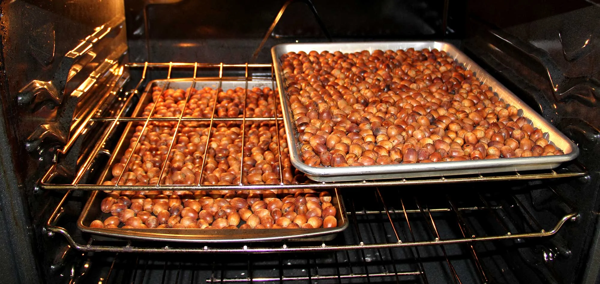 Oak Spring Garden Foundation - Eating Acorns