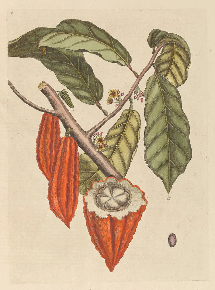 Oak Spring Garden Foundation - Introducing Fantastic Flora