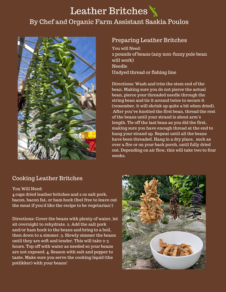 Oak Spring Garden Foundation - Leather Britches: An Appalachian ...