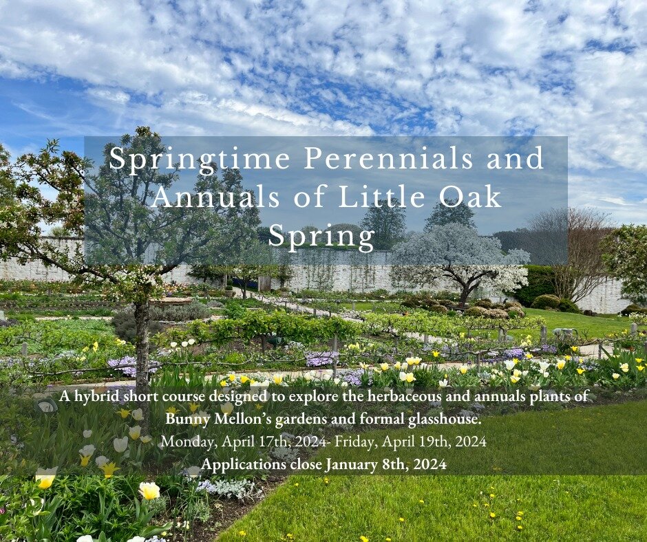 Oak Spring Garden Foundation - Gallery