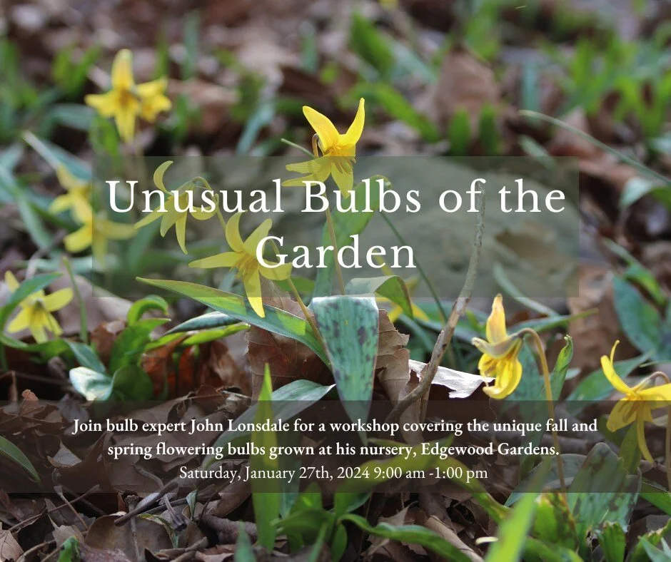 Oak Spring Garden Foundation - Gallery