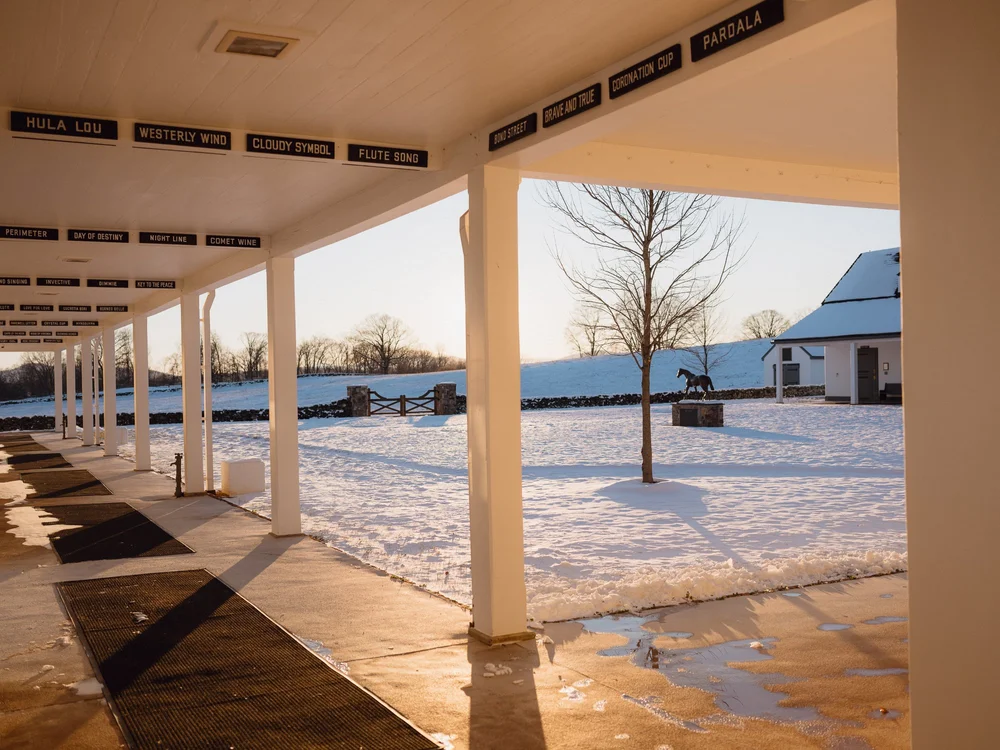 Oak Spring Garden Foundation - A Slideshow in the Snow