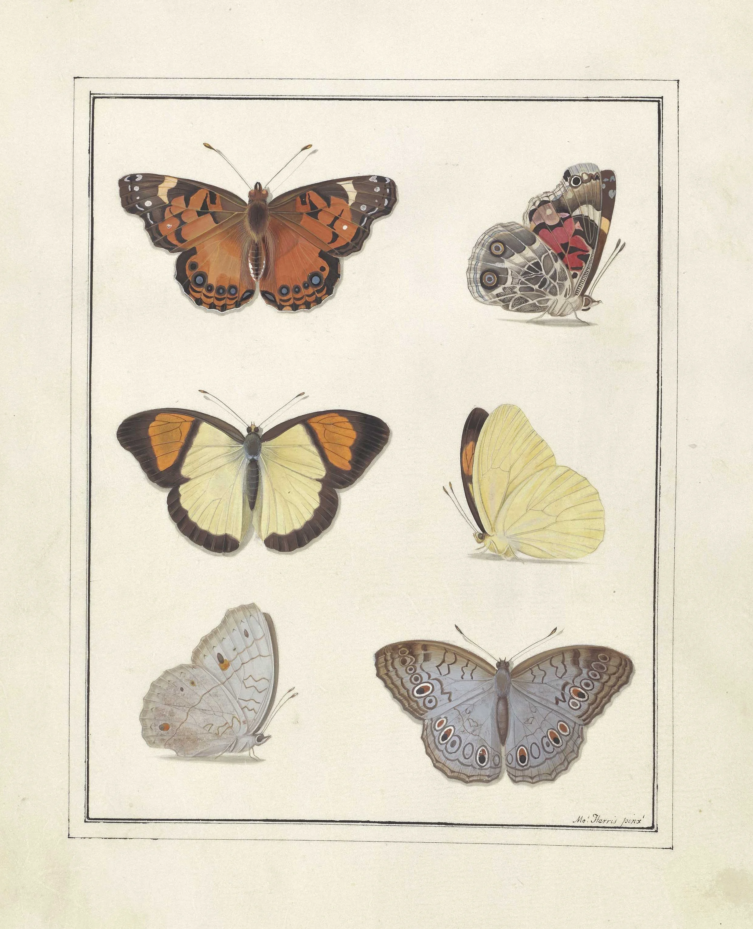 Oak Spring Garden Foundation - Library