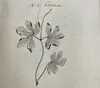 Oak Spring Garden Foundation - Historical Context for the Botanic ...