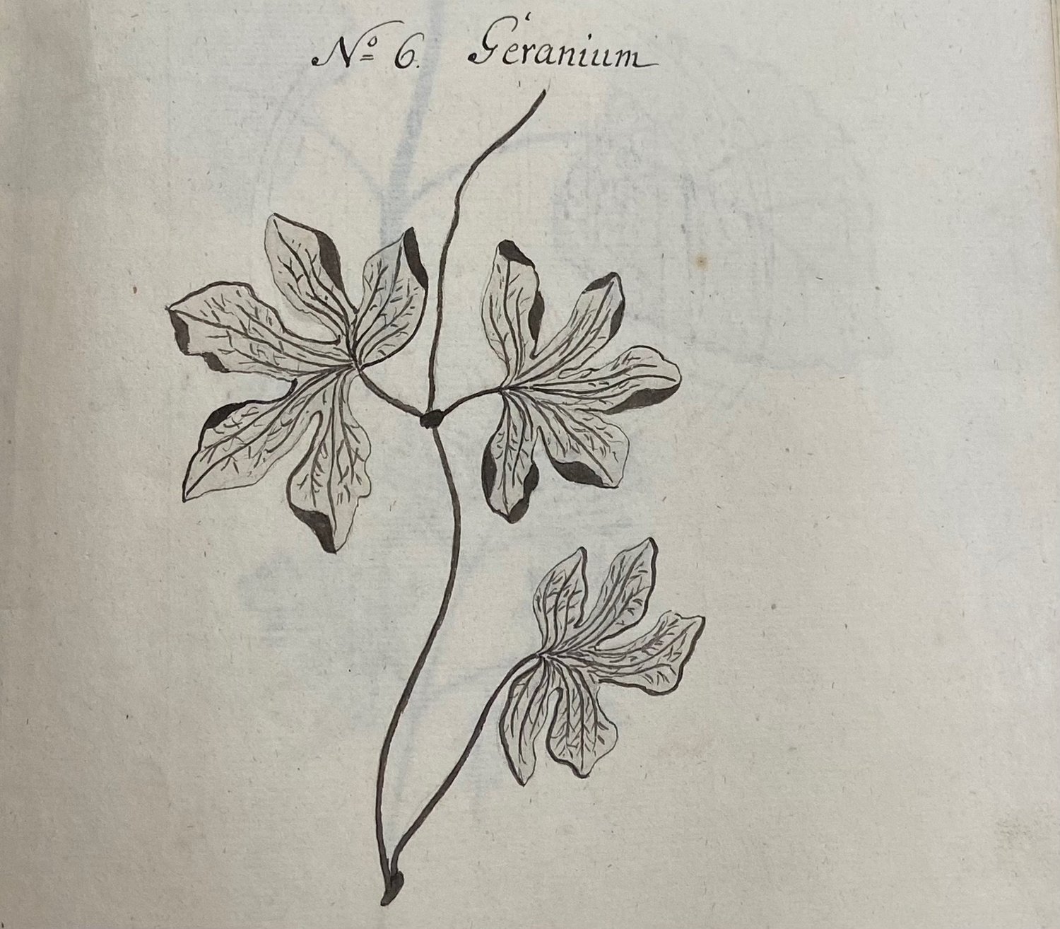 Oak Spring Garden Foundation - Historical Context for the Botanic ...