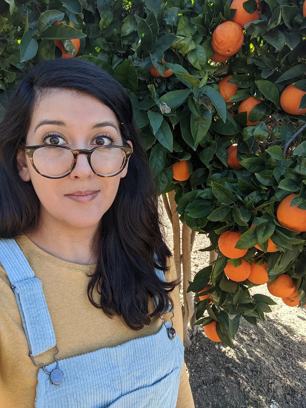 Oak Spring Garden Foundation - Laura Villareal