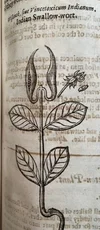 Oak Spring Garden Foundation - Historical Context for the Botanic ...