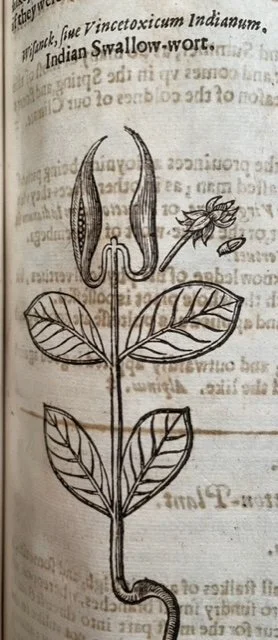 Oak Spring Garden Foundation - Historical Context for the Botanic ...